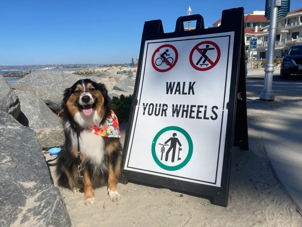 Ziggy Walk: It’s a Noun and a Verb! – Tinkerbell's Travels